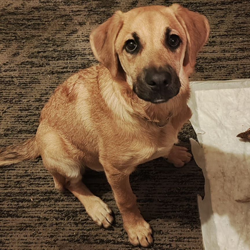 Королева Марго