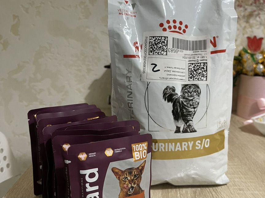 Корм для кошек royal canin urinary