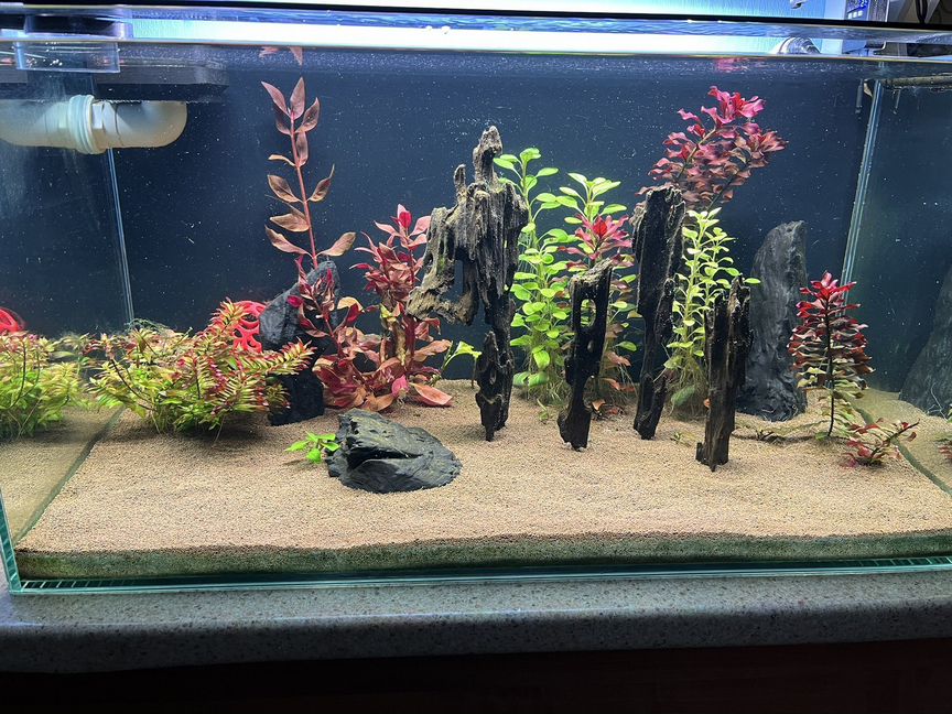 Декорации, рыбки, растения в аквариум