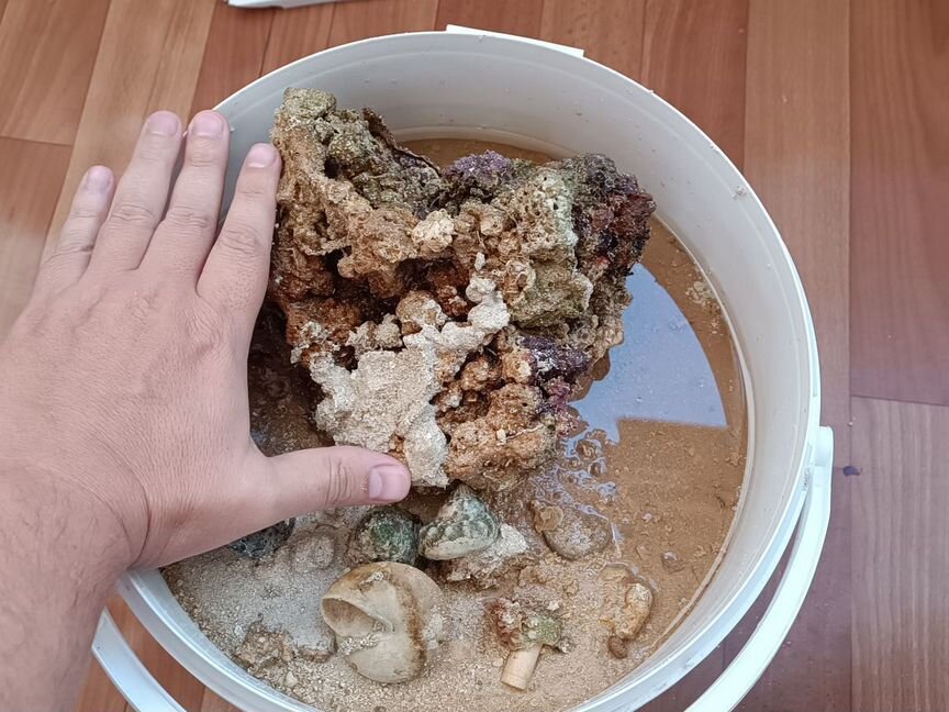 Живые камни для морского аквариума, песок, грунт
