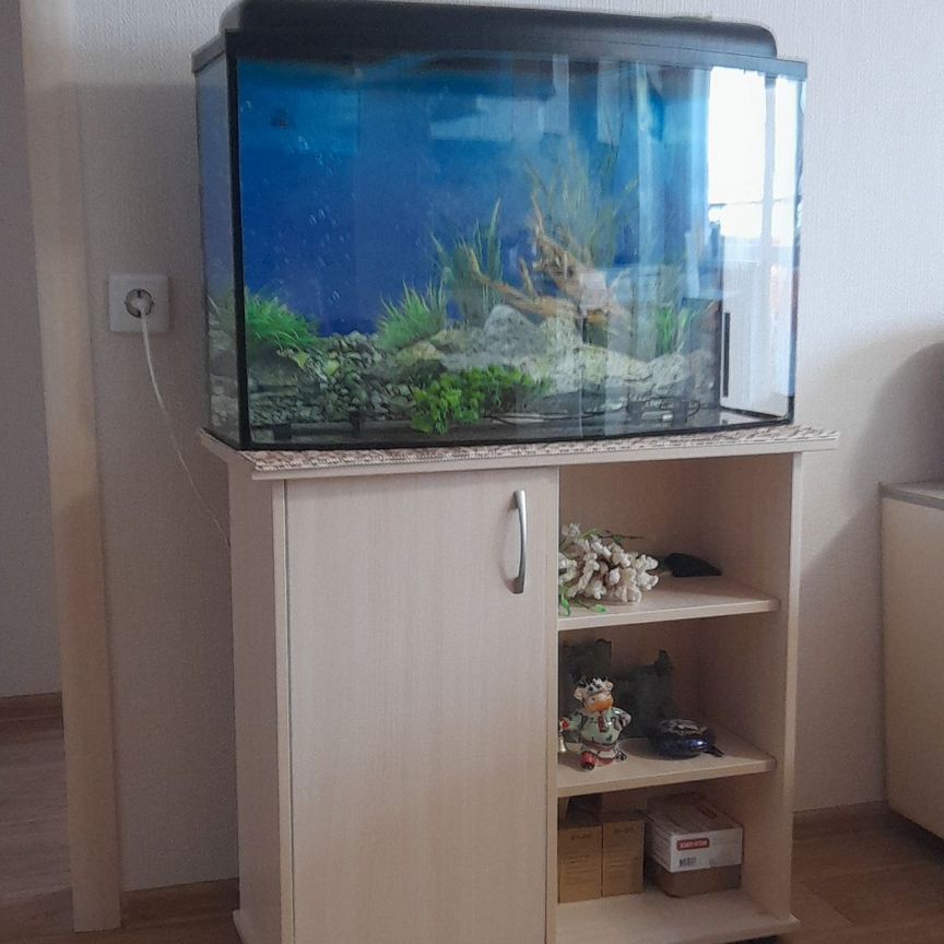 Аквариум 100 литров с тумбой и принадлежности