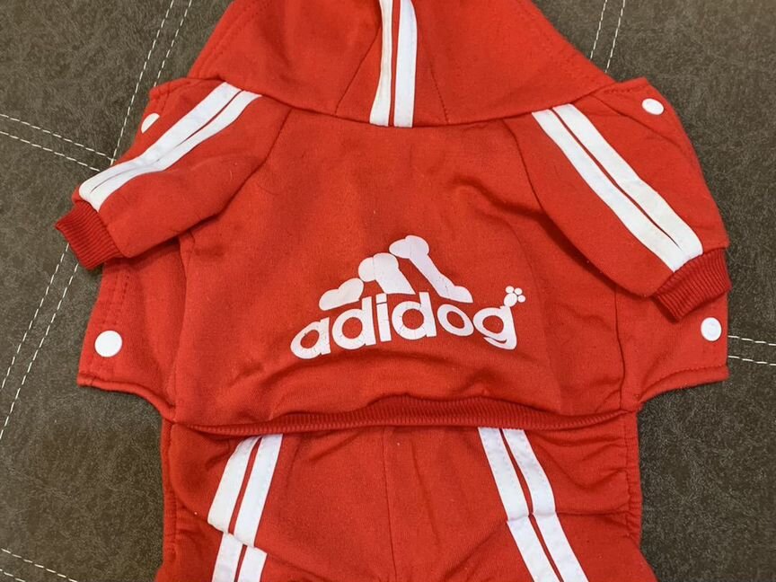 Костюм для собак