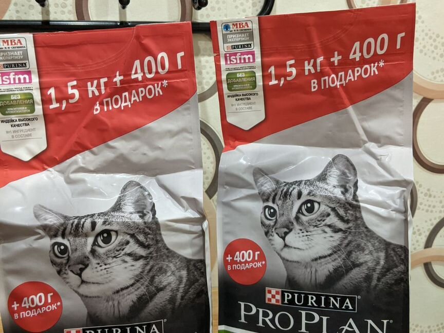 Корм для кошек