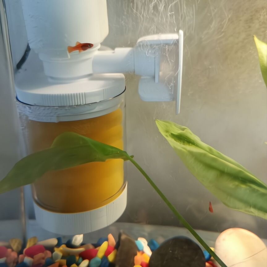 Аквариумные рыбки меченосцы