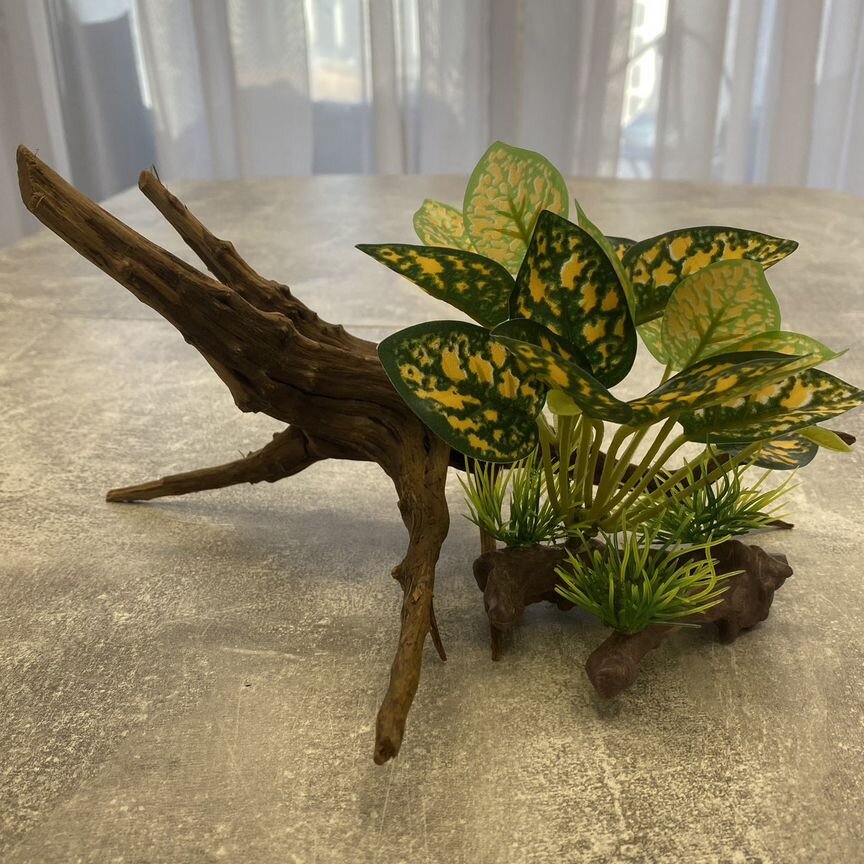 Коряга для аквариума 15-25 см,растение аквариумное