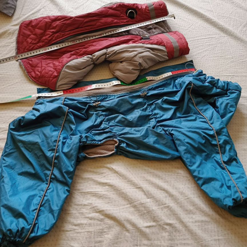 Щенок от частного владельца