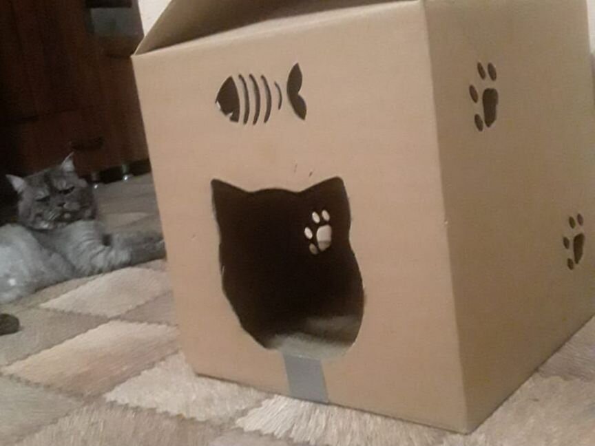 Картонный дом для кота