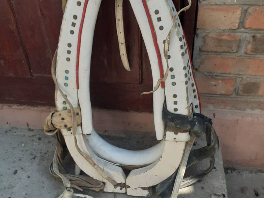 Продам упряжь