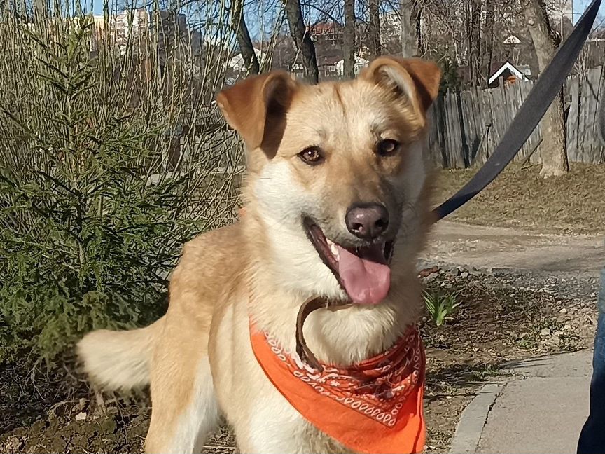 Тесса в поиске счастья