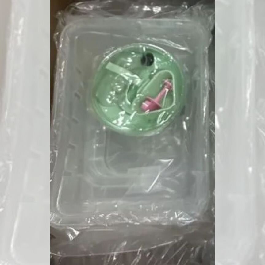 Переноска для грызунов