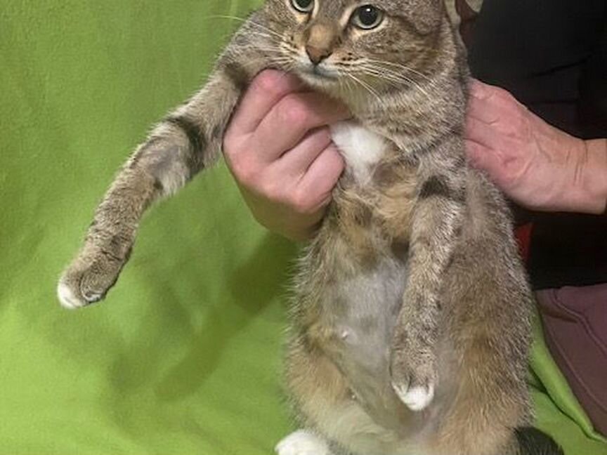 Она была любимицей