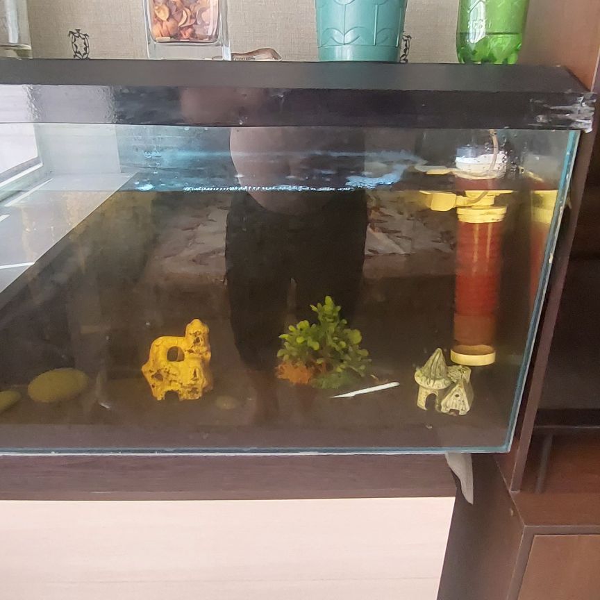 Аквариум с рыбками