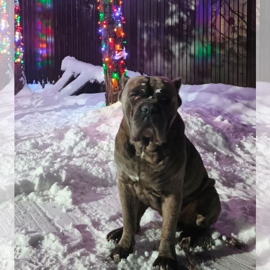 Красивый Мальчик ищет Девочку