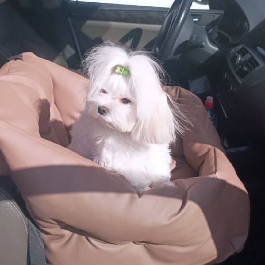 Сумка автокресло для собак