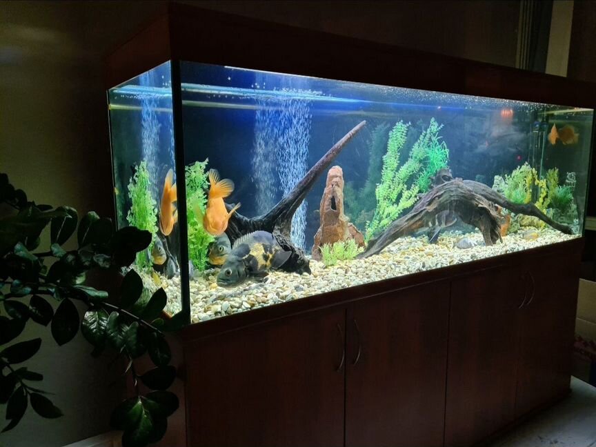 Аквариум с тумбой