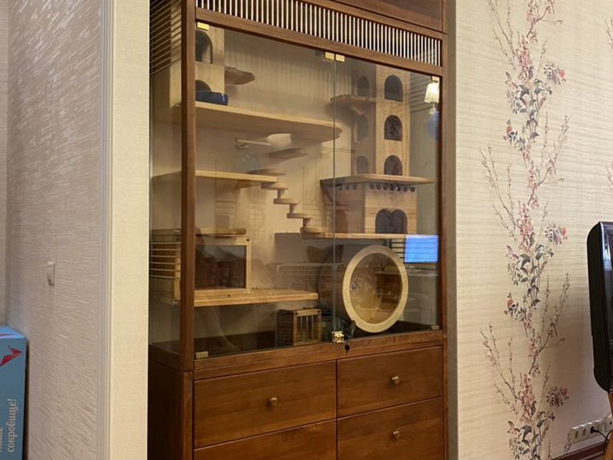 Витрина-консоль для шиншилл, дегу из бука