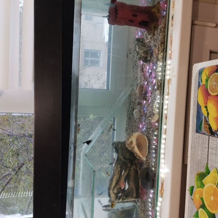 Аквариум с рыбками и декором