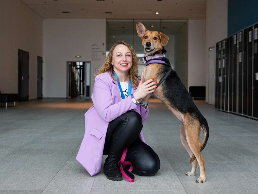 Собака в добрые руки