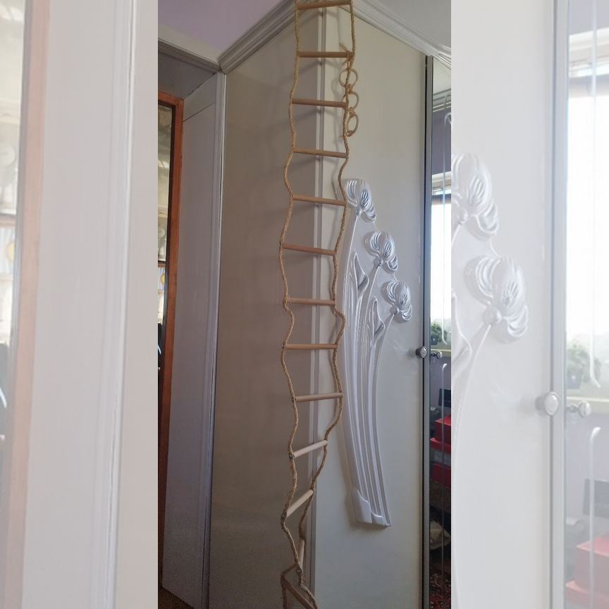 Лестница для большой птицы,попугая