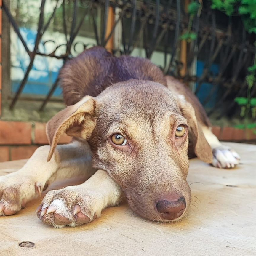 В самые лучшие ручки