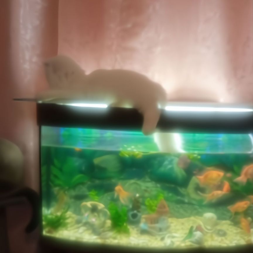 Аквариум с тумбой