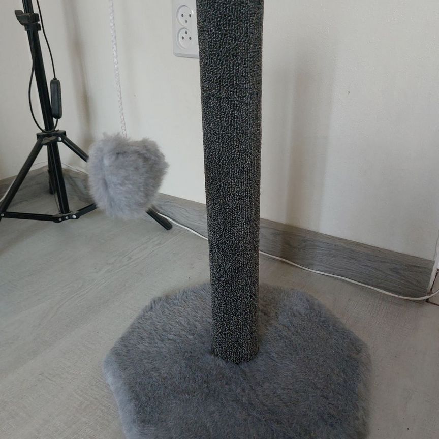 Кошачья когтеточка