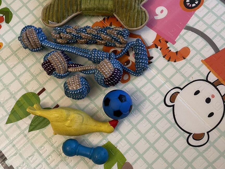 Игрушки для собак