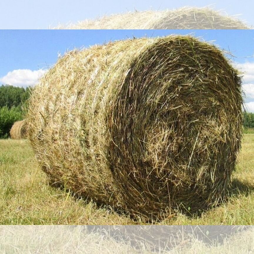 Продам солому в рулонах