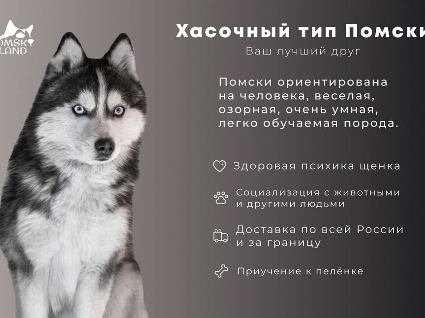 Щенки посмки