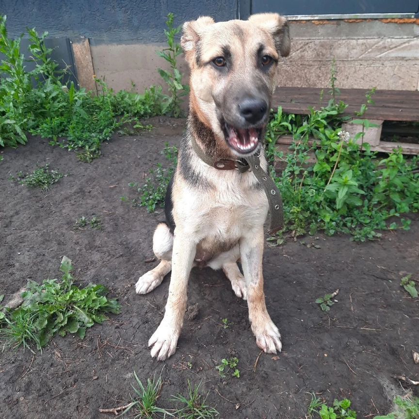 Ника 9 месяцев в ответственный дом