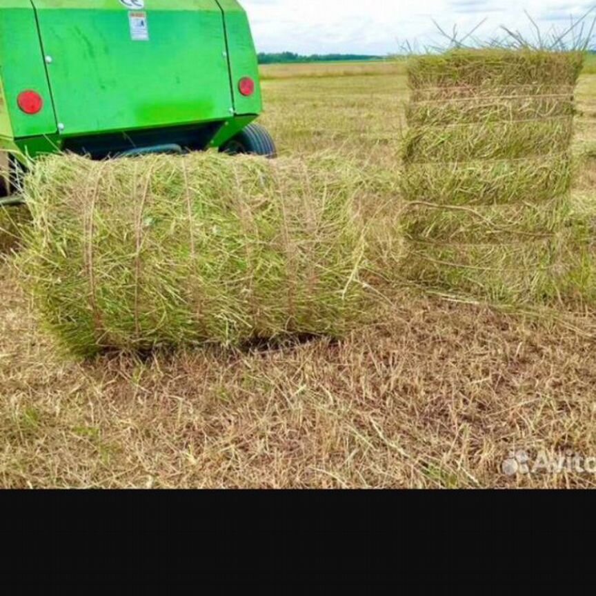 Сено в мини рулонах
