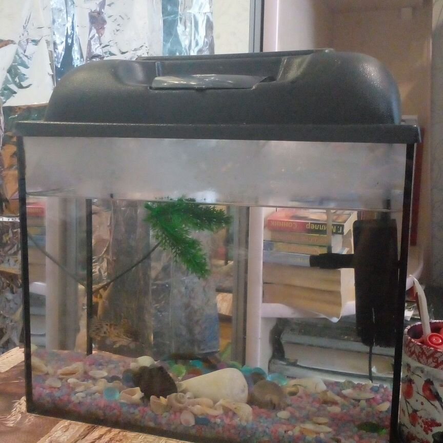 Аквариум бу с рыбками