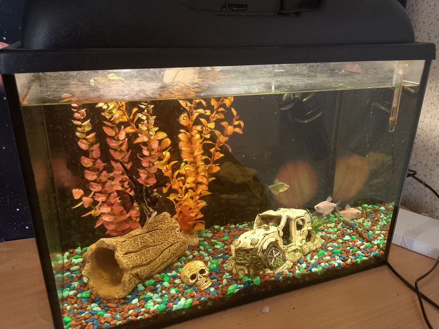 Продам аквариум 50 литров