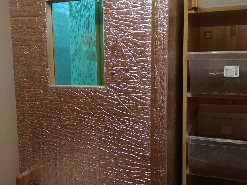 Инсектарий для разведения мухи черная львинка