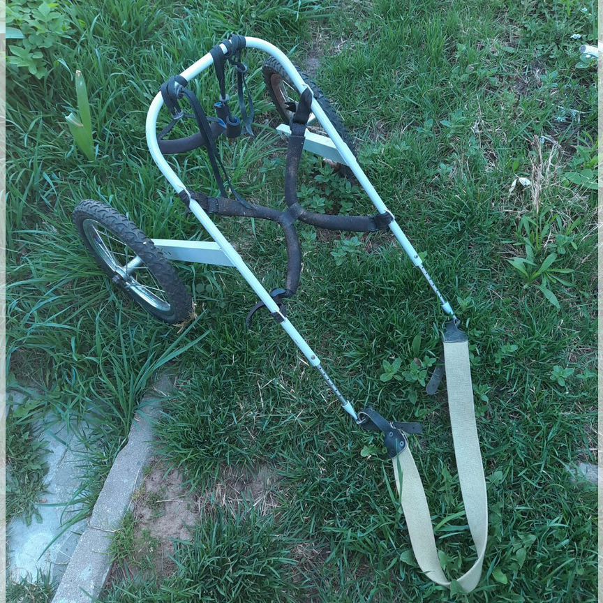 Коляска для крупных пород