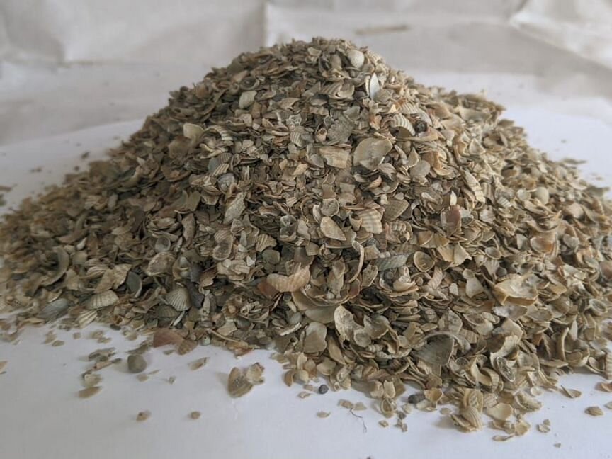 Ракушка кормовая