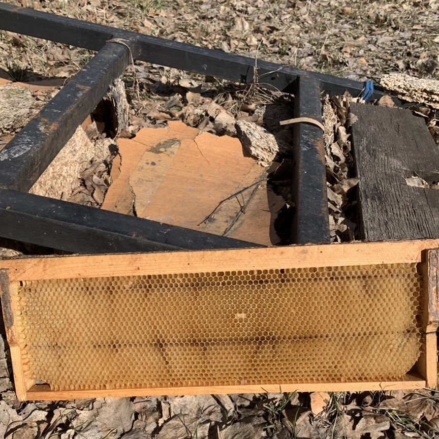 Сушь магазинная