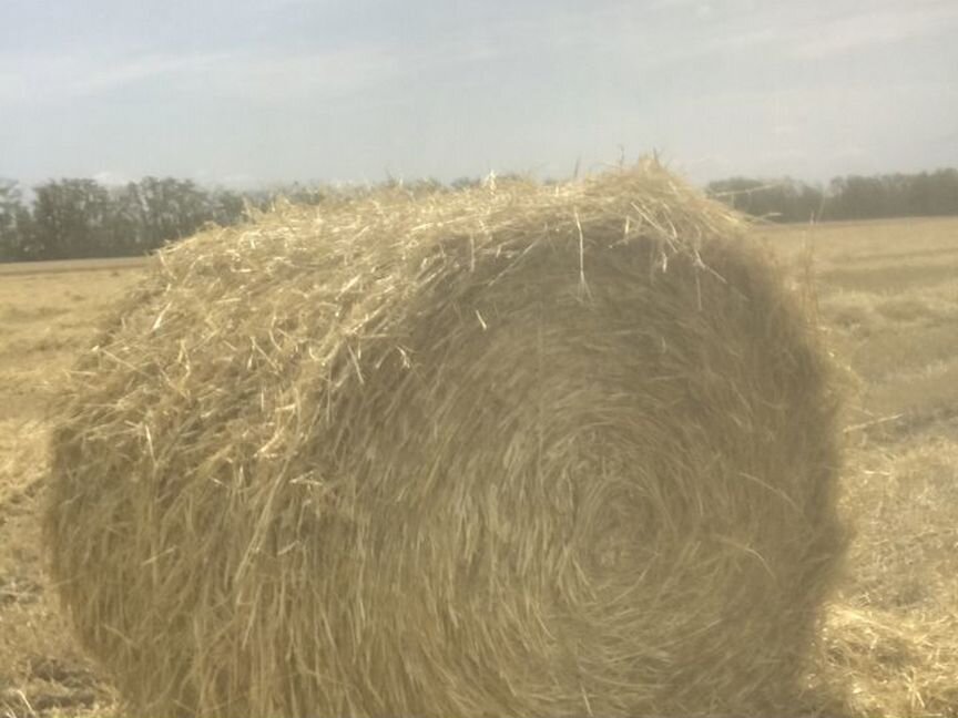 Солома в рулонах