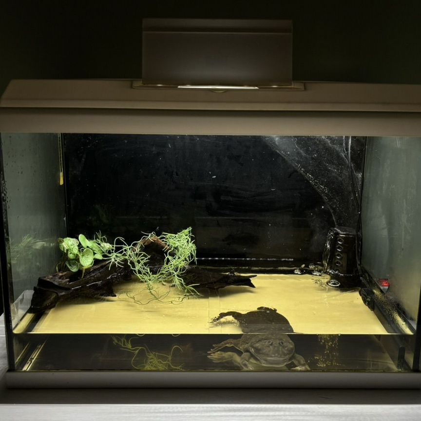 Аквариум 70л