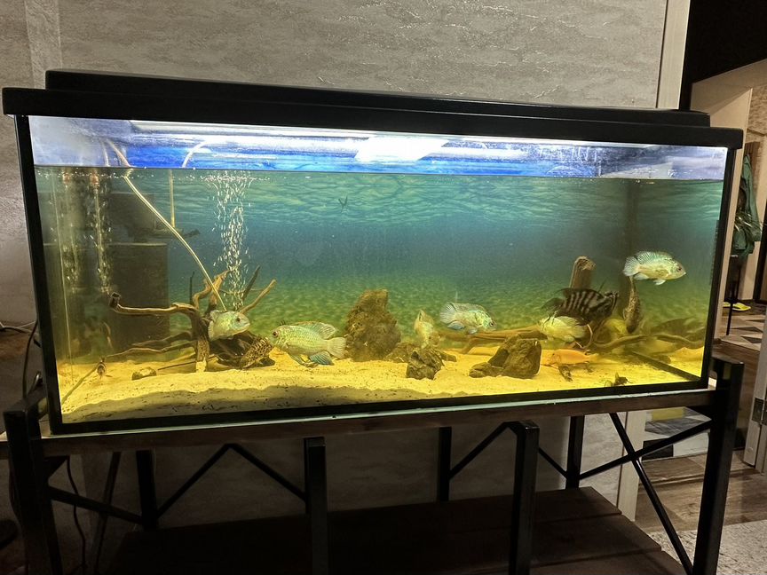 Аквариум с тумбой 300 литров