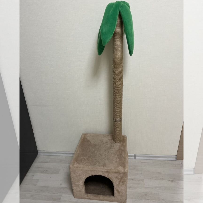 Когтеточка