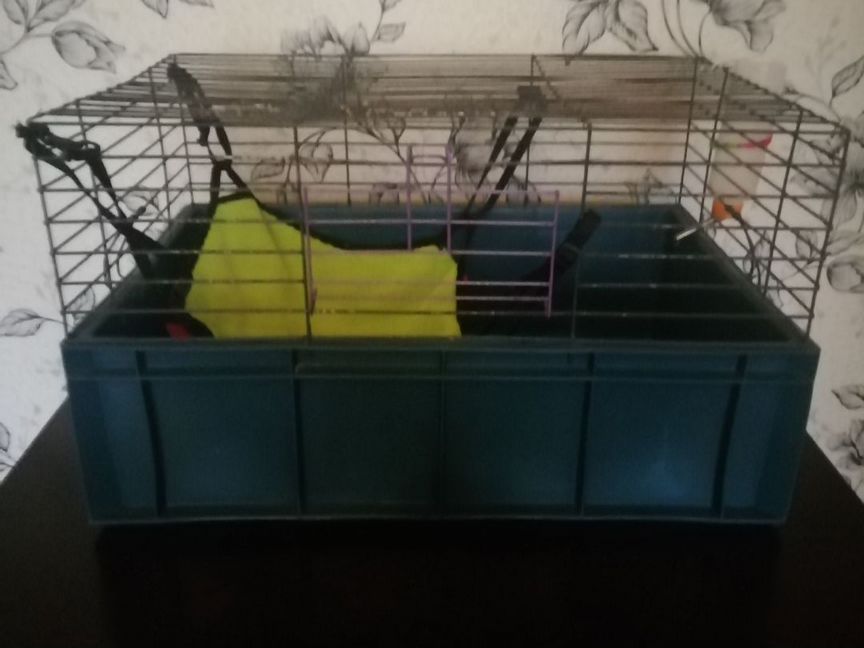 Клетка для грызунов бу