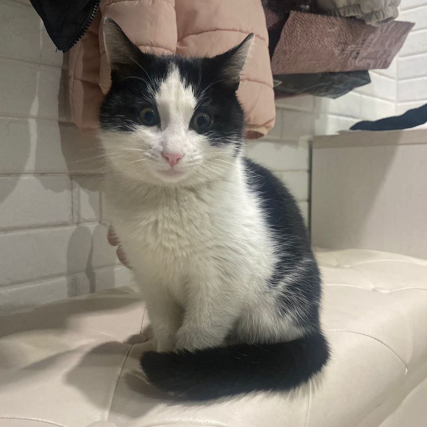 Кто хочет малыша в семью