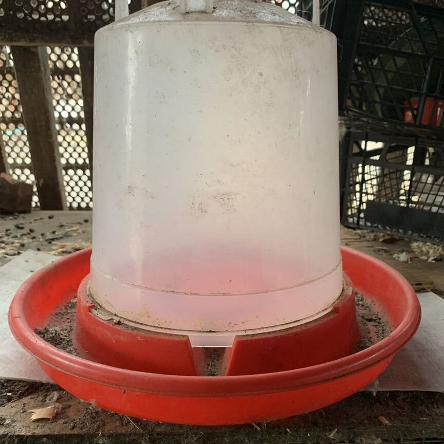 Поилки для кур