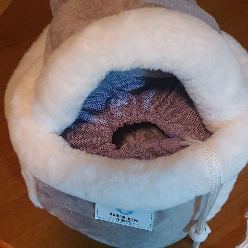 Рюкзак для животных