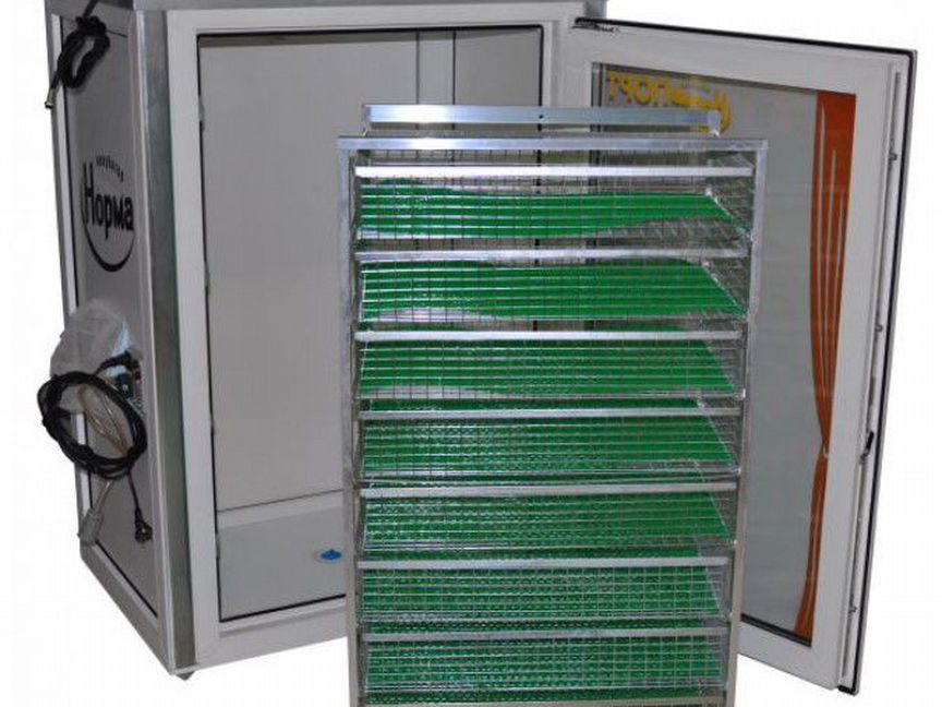 Инкубатор выводной норма порт