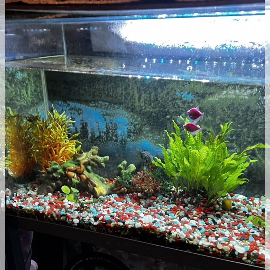 Аквариум
