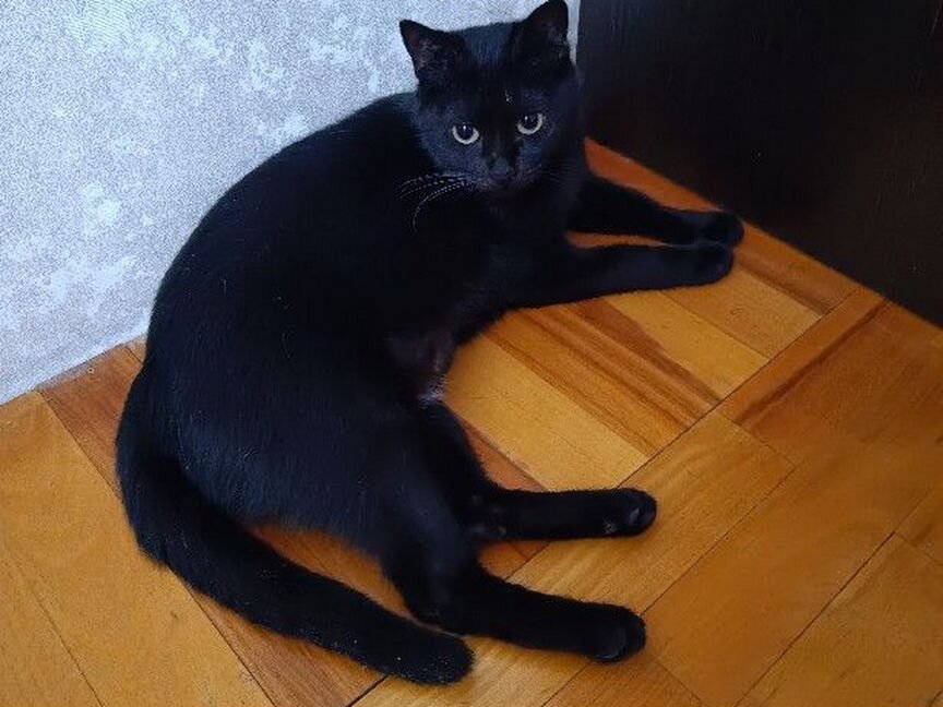 Мисти
