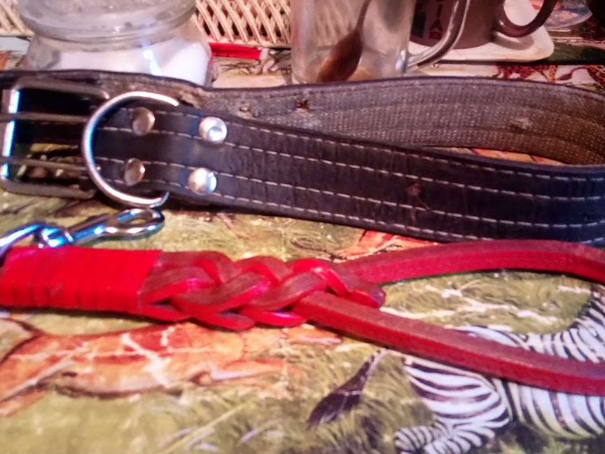 Ошейник и поводок