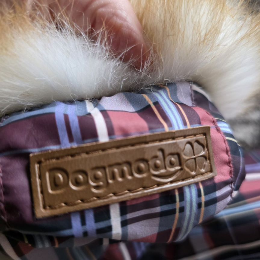 Зимний комбинезон для собаки